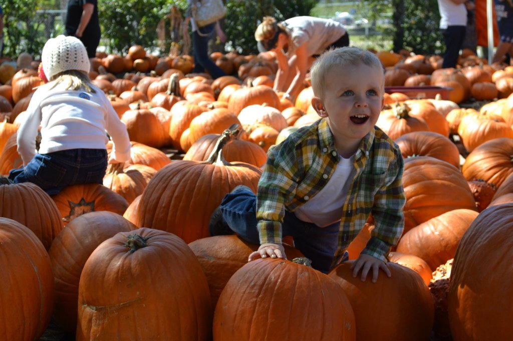 The Paradigm Shift of Halloween - AboutMormons